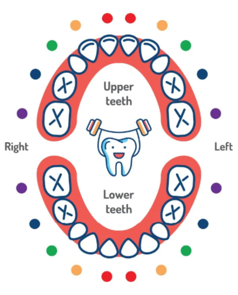 Pediatric Dentistry – Dr. Massi Dental Clinic